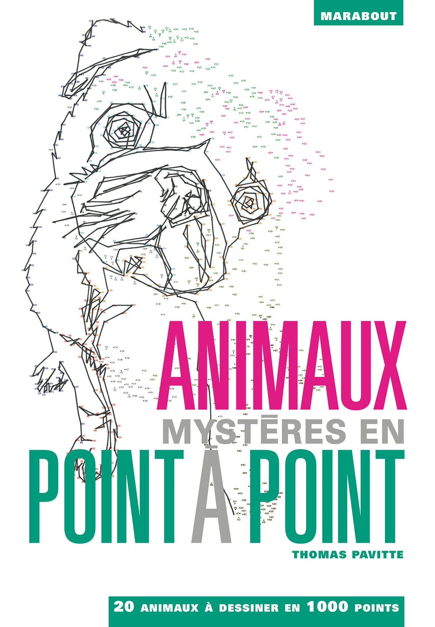 Animaux mystères en point à point : 20 animaux à dessiner en 1.000 ...