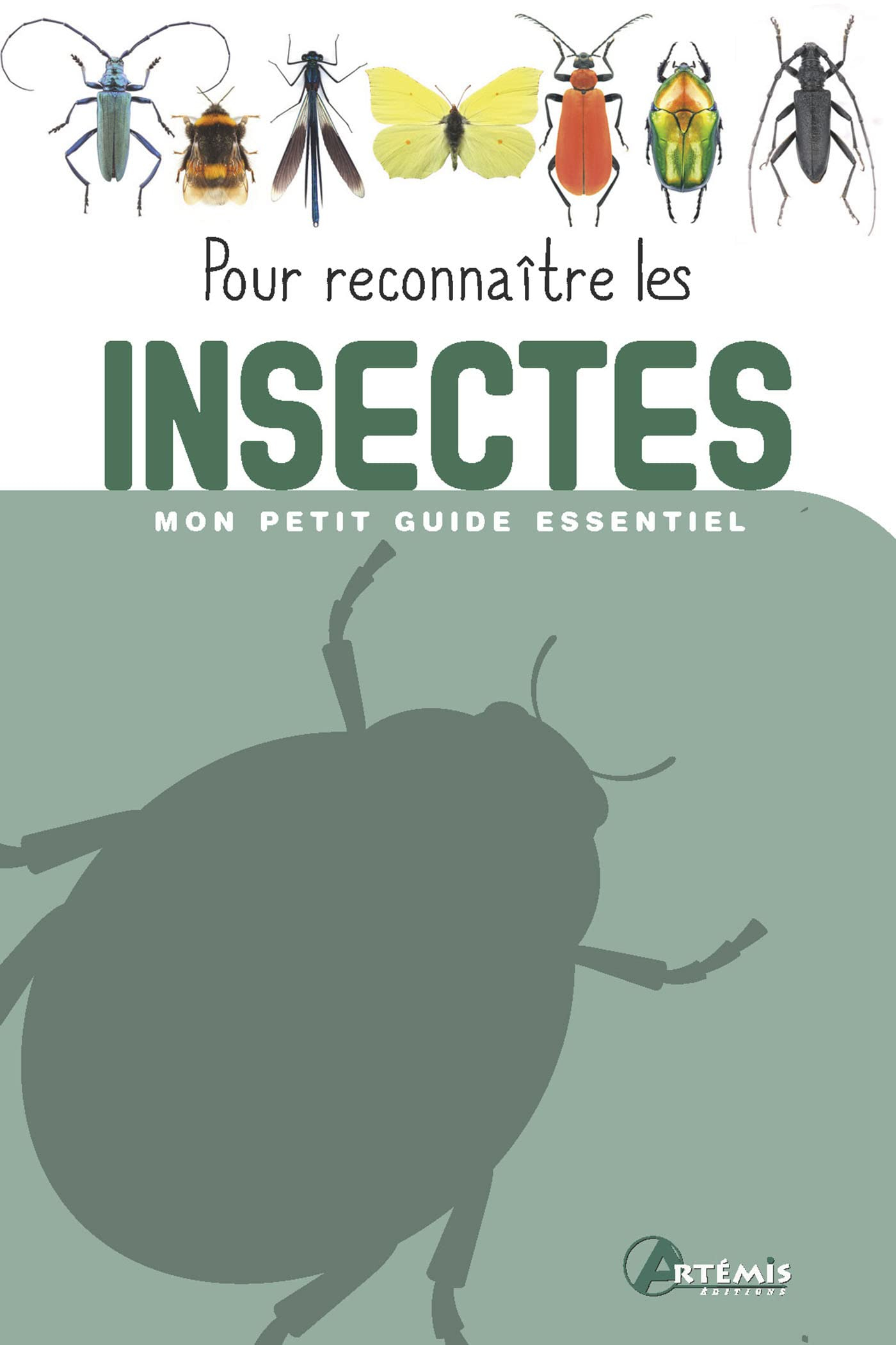 Pour reconnaître les insectes de Collectif | Recyclivre