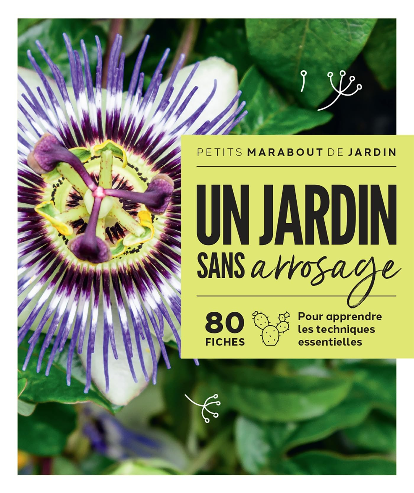 Un jardin sans arrosage : 80 fiches pour apprendre les techniques ...