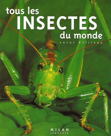 Tous les insectes du monde de Lucas Baliteau | Recyclivre
