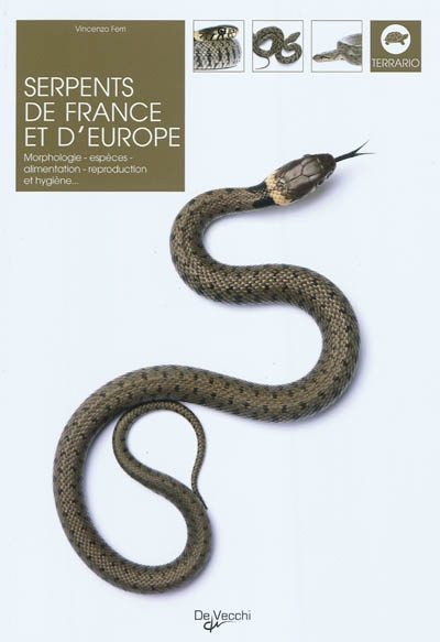 Serpents de france et d'europe : morphologie, espèces, alimentation ...