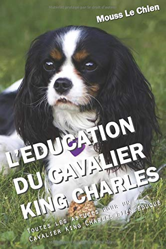 L'education du cavalier king charles: toutes les astuces pour un ...