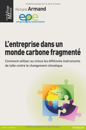 L'entreprise dans un monde carbone fragmenté : comment utiliser au ...