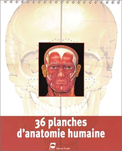36 planches d'anatomie humaine de Anatomical Chart Co. | Recyclivre