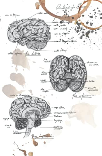 Carnet de notes - notebook : vintage anatomy collection : the brain de ...
