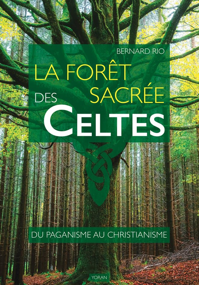 La forêt sacrée des celtes : du paganisme au christianisme de Bernard ...