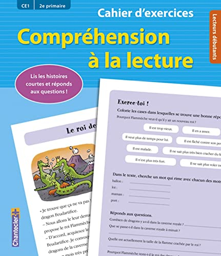 Compréhension à la lecture : lis les histoires courtes et réponds aux ...