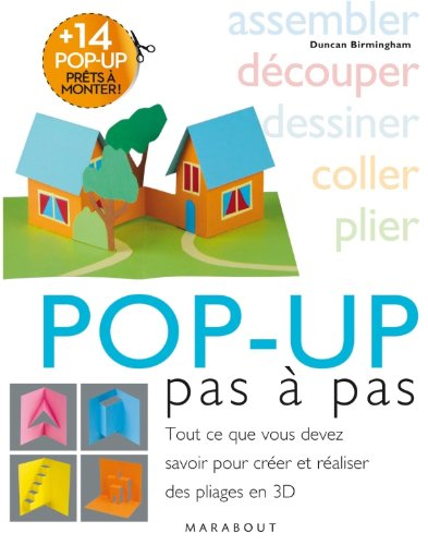 Pop-up pas à pas : tout ce que vous devez savoir pour créer et réaliser des pliages en 3d de ...