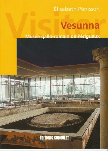 Visiter vesunna : musée gallo-romain de périgueux de Elisabeth Pénisson ...